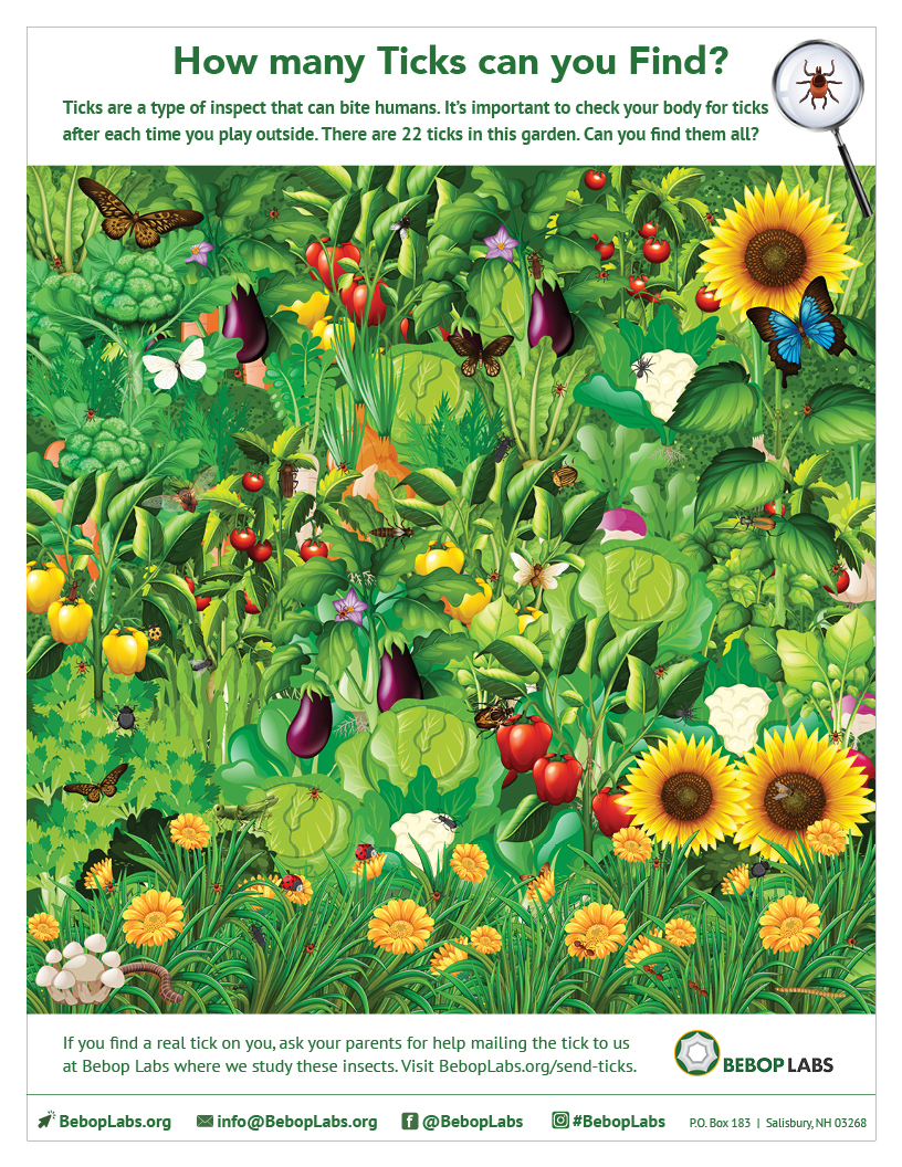 Downloads - BeBop Labs